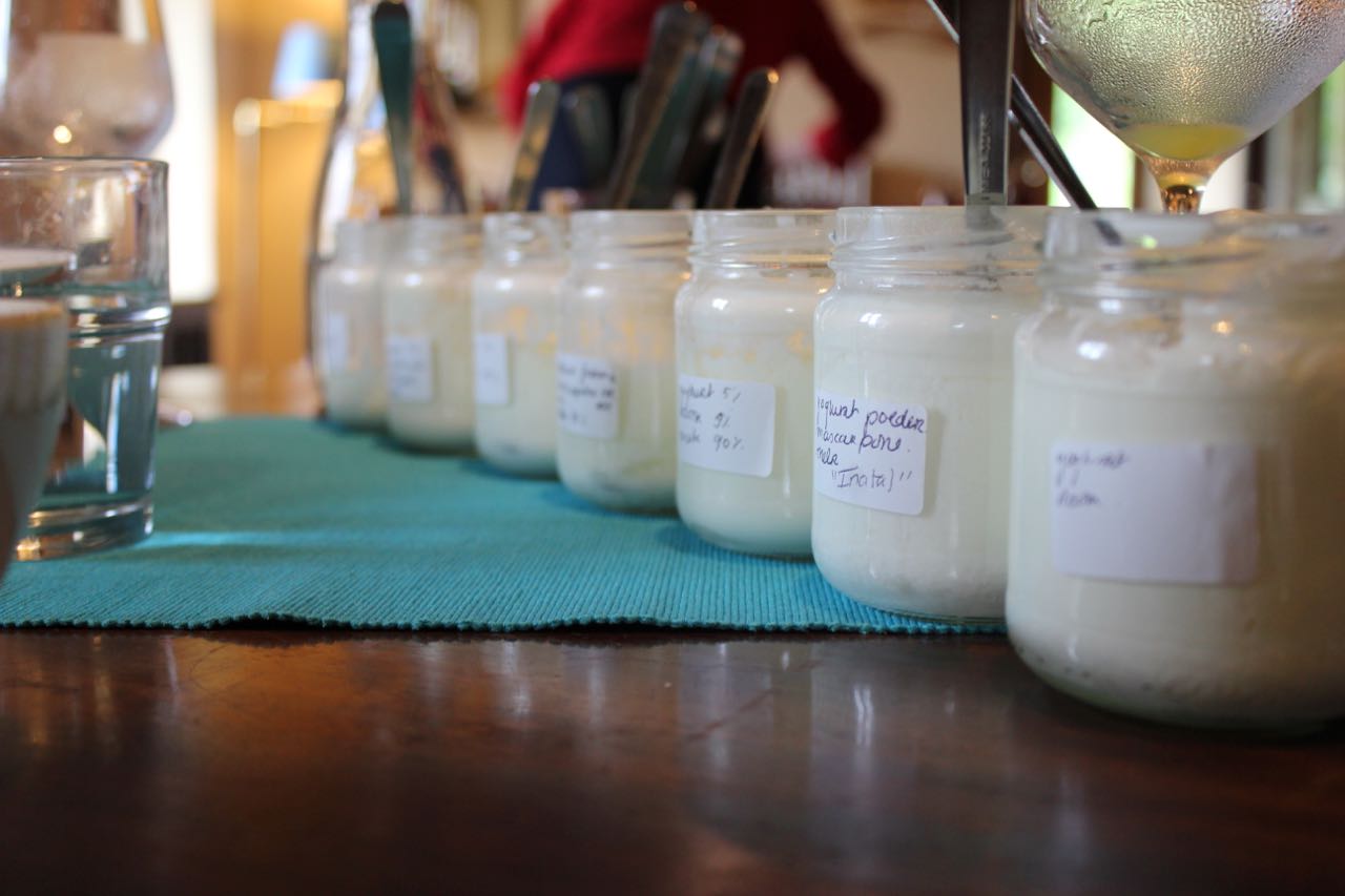 Need to know perspectives in dairy fermentation - Farming Chefs