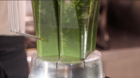 Basil Oil Recipe - The Farming Chefs