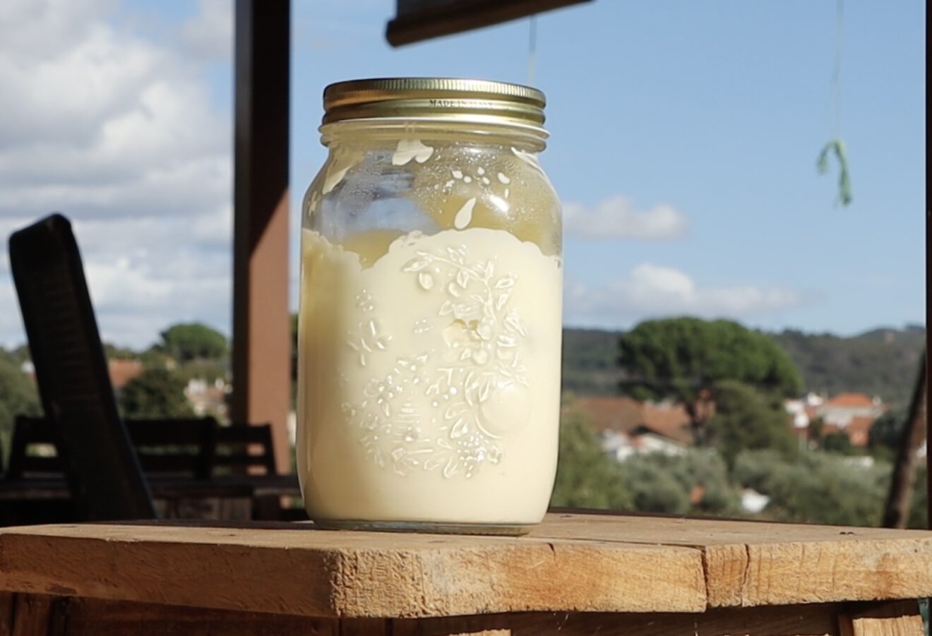 Egg White Mayonnaise - thefarmingchefs