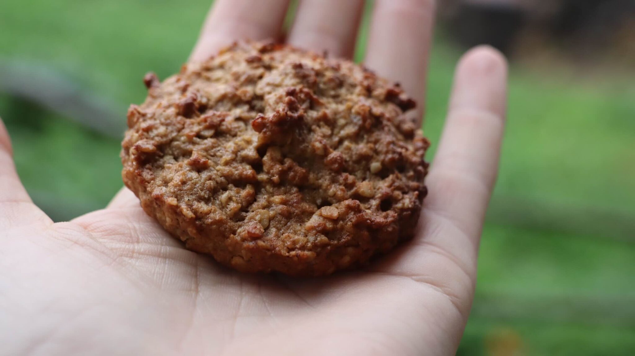 Basil Oil Recipe - The Farming Chefs