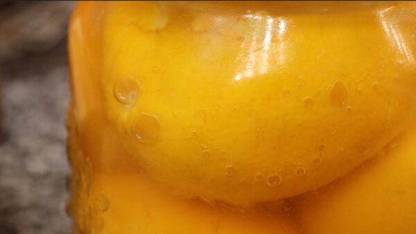 How to Make Fermented Oranges with Salt (Preserved Citrus Recipe ...