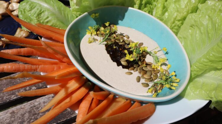 Basil Oil Recipe - The Farming Chefs